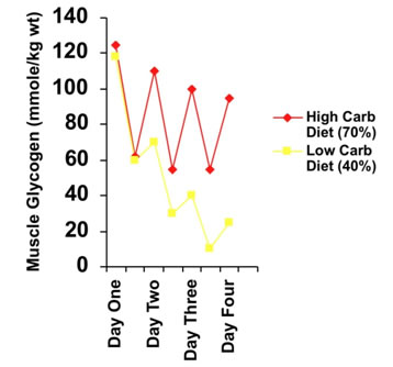 Rapid Fat Loss Blueprint: Your 3-Day Protocol to “Target” Lower Belly Bulge